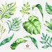 Tropical Leaves WATERCOLOR Clip Art. Fresh Foliage, Jungle Nature ...