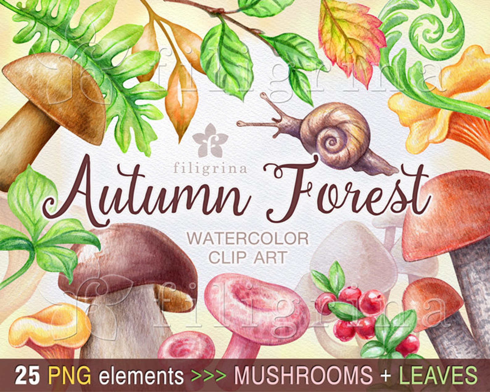 Autumn Forest Watercolor Clip Art. Leaves, Eatable Mushrooms, Snail ...