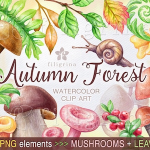 Autumn Forest Watercolor Clip Art. Leaves, Eatable Mushrooms, Snail ...