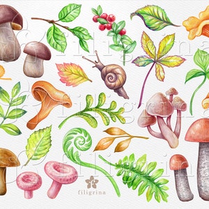 Autumn Forest Watercolor Clip Art. Leaves, Eatable Mushrooms, Snail ...