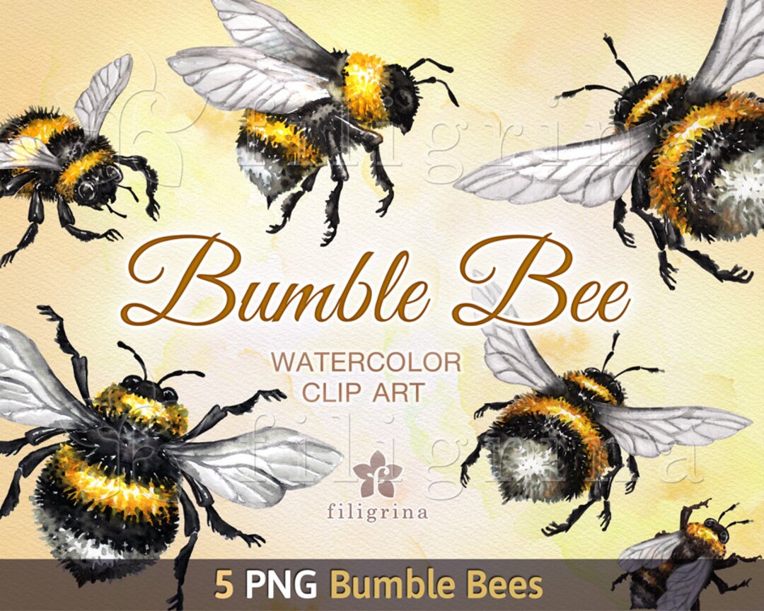 BUMBLEBEE Watercolor Clip Art. Set of Assorted Flying Bumble Bees ...