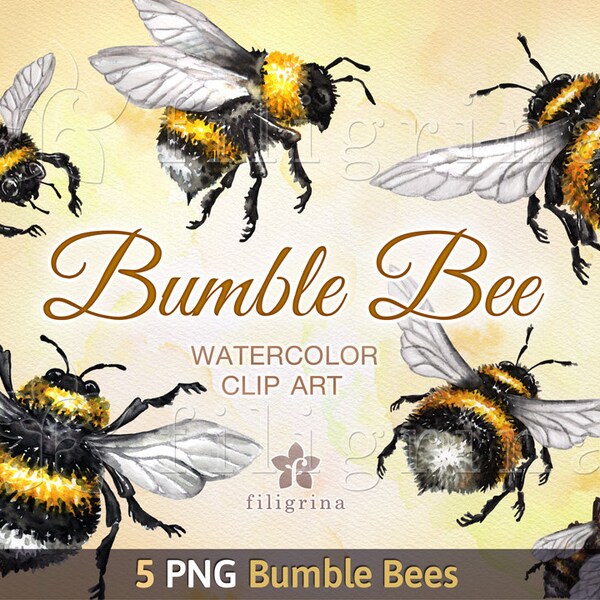 Insect Watercolor - Etsy