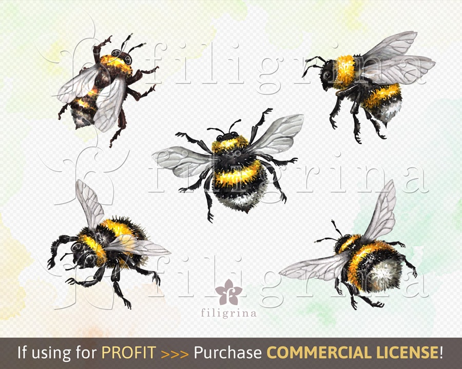 BUMBLEBEE Watercolor Clip Art. Set of Assorted Flying Bumble Bees ...