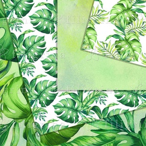 Tropical Leaves WATERCOLOR Clip Art. Fresh Foliage, Jungle Nature ...