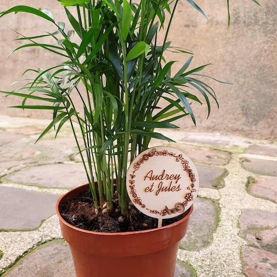 Plant Topper Custom Wedding Audrey Paul Wood Birthday Plant Topper plant-topper-custom-wedding-audrey-paul-wood-birthday-plant-topper