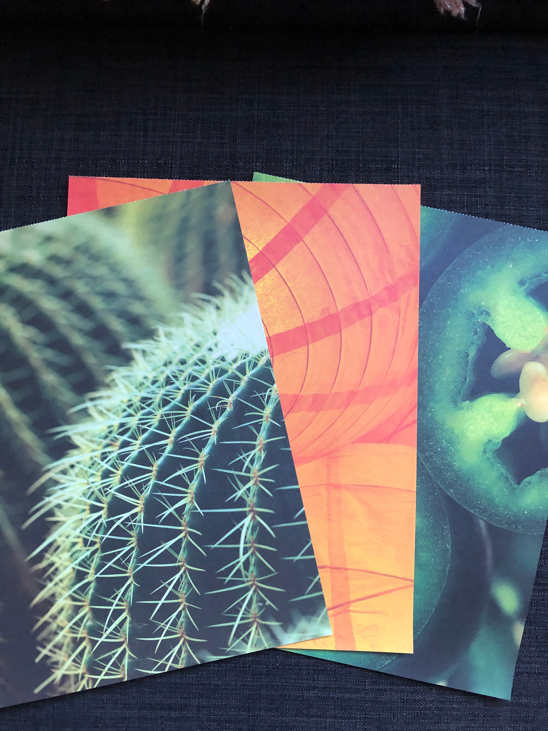 Colorbok fiesta Single Sided Designer Paper 8 - Etsy UK