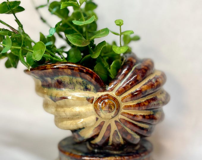 Vintage Ceramic Nautilus Shell Planter Brown Glaze - Etsy