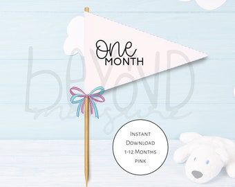 Monthly Milestone Flag - Etsy