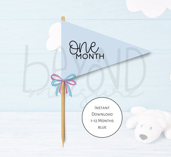 Printable Baby Monthly Milestone Flags Blue | Etsy
