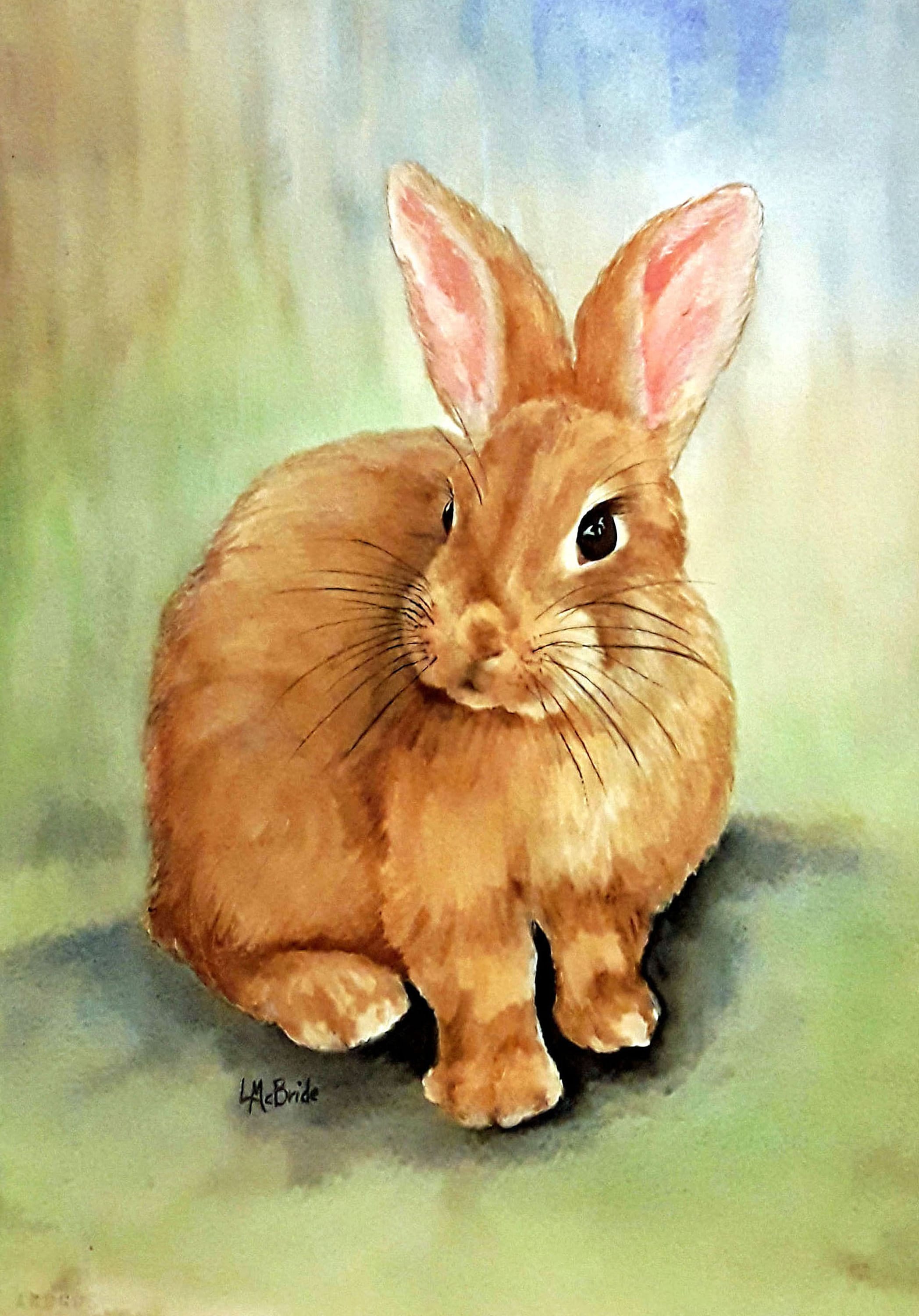 Rabbit Paintings Prints
