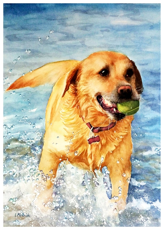 Yellow Lab Print Fine Art Prints Labrador Retriever Water | Etsy