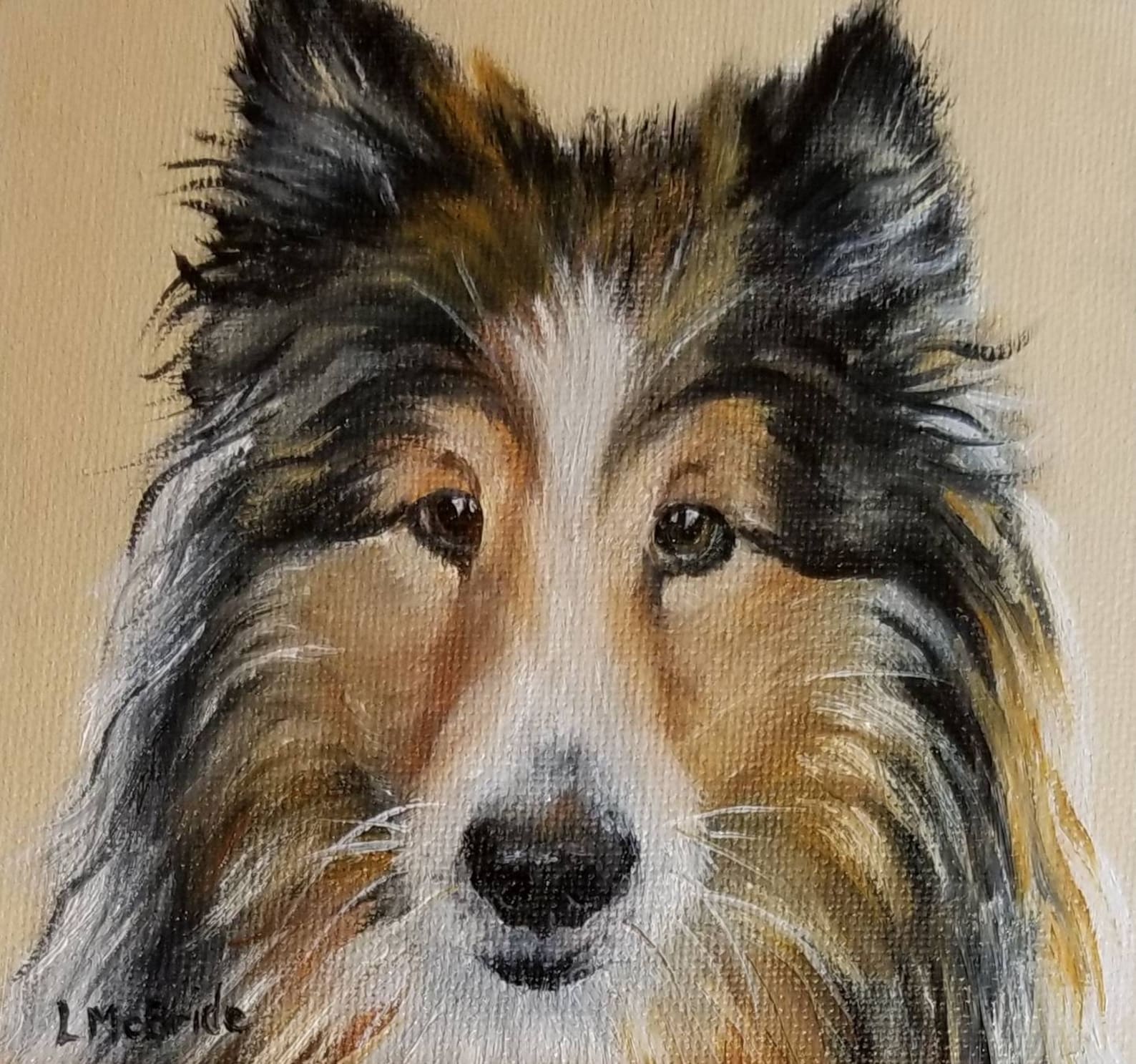 Collie Original Oil Painting 5 X 5 Canvas Panel Realistic - Etsy