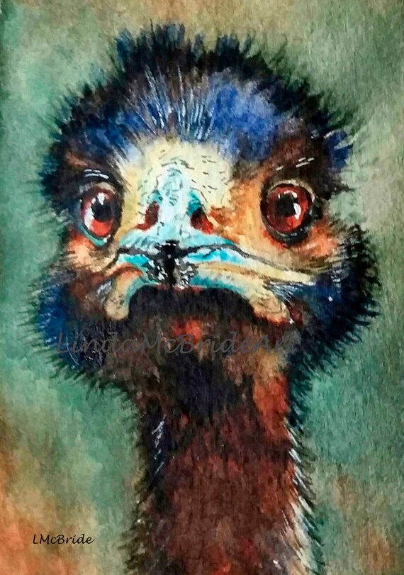 Emu Blank Art Cards 3-1/2 X 5 or 5 X 7 Single Card or Set - Etsy