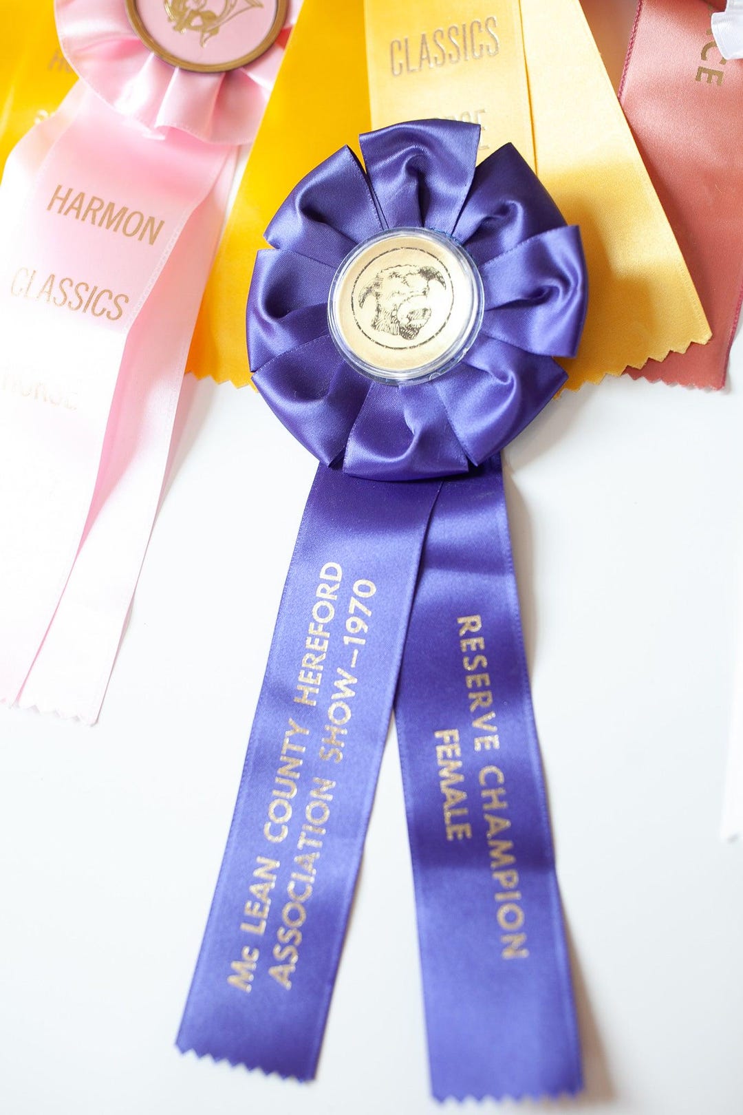 Vintage Prize Ribbon- Cow Ribbon - Purple Ribbon - Etsy