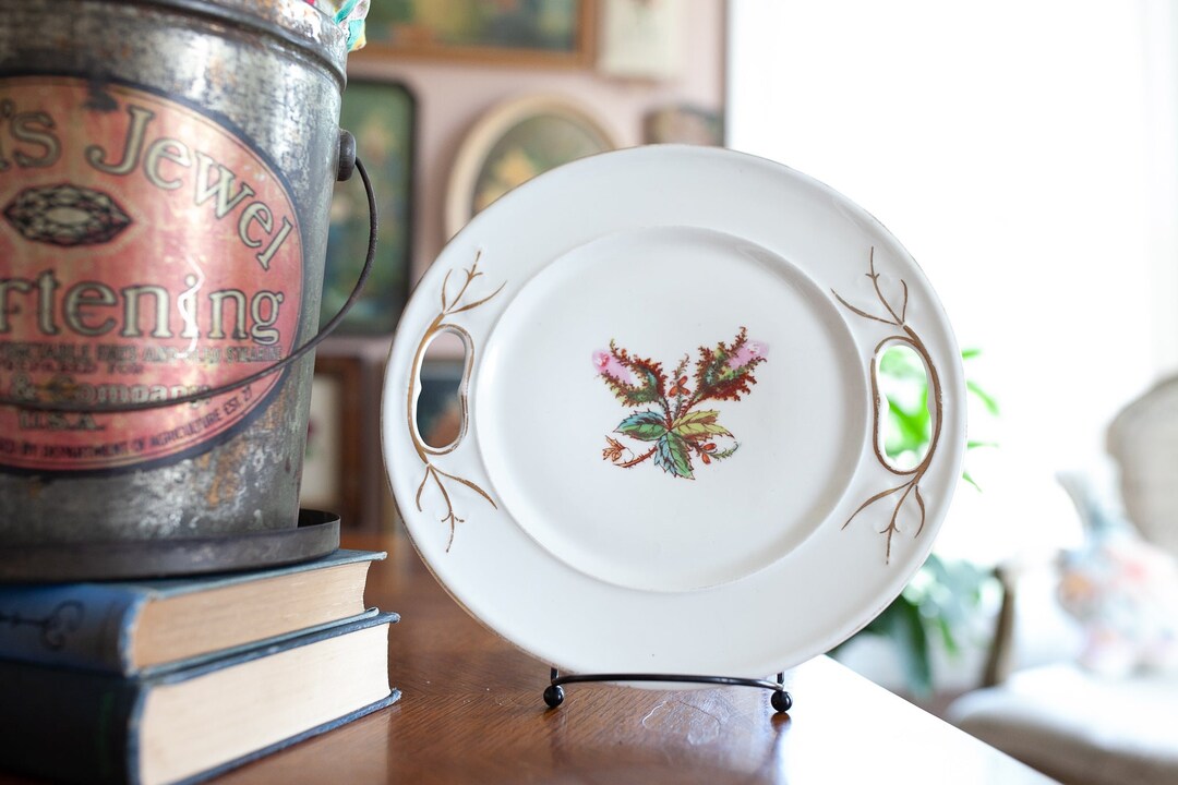 Vintage Moss Rose Cake Plate -porcelain Handled Plate - Etsy