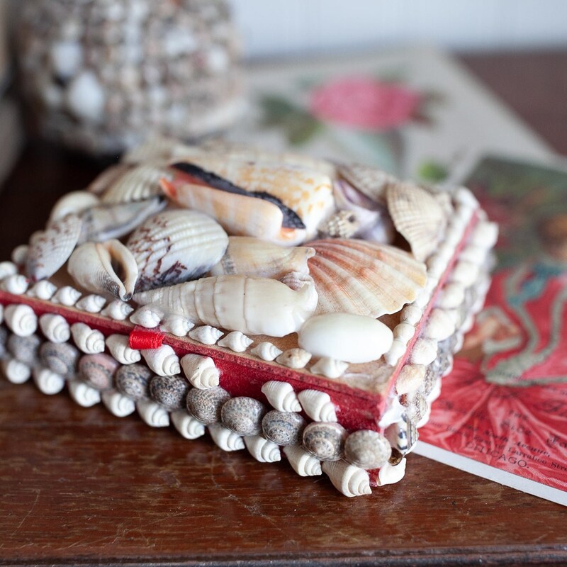 Shell Box - Etsy