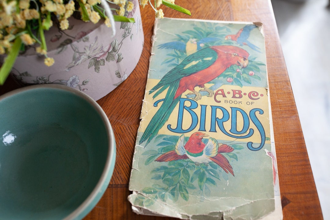 ABC Book of Birds Bird Book vintage Bird Book - Etsy