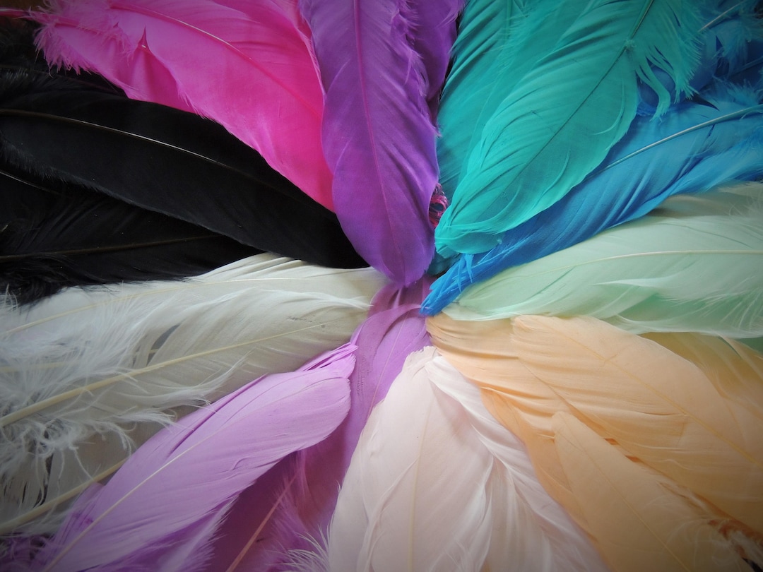 Craft Feathers Any Color Boho Party Wild One Party Decor Boho Baby ...