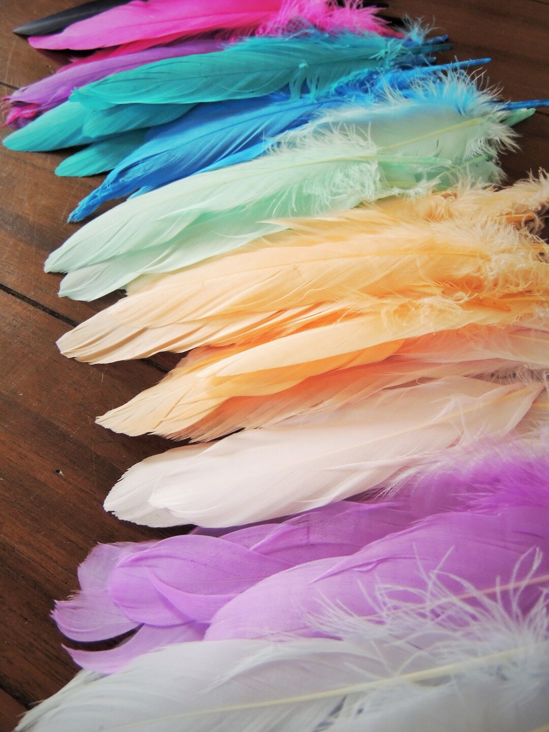 Craft Feathers Any Color Boho Party Wild One Party Decor Boho Baby ...