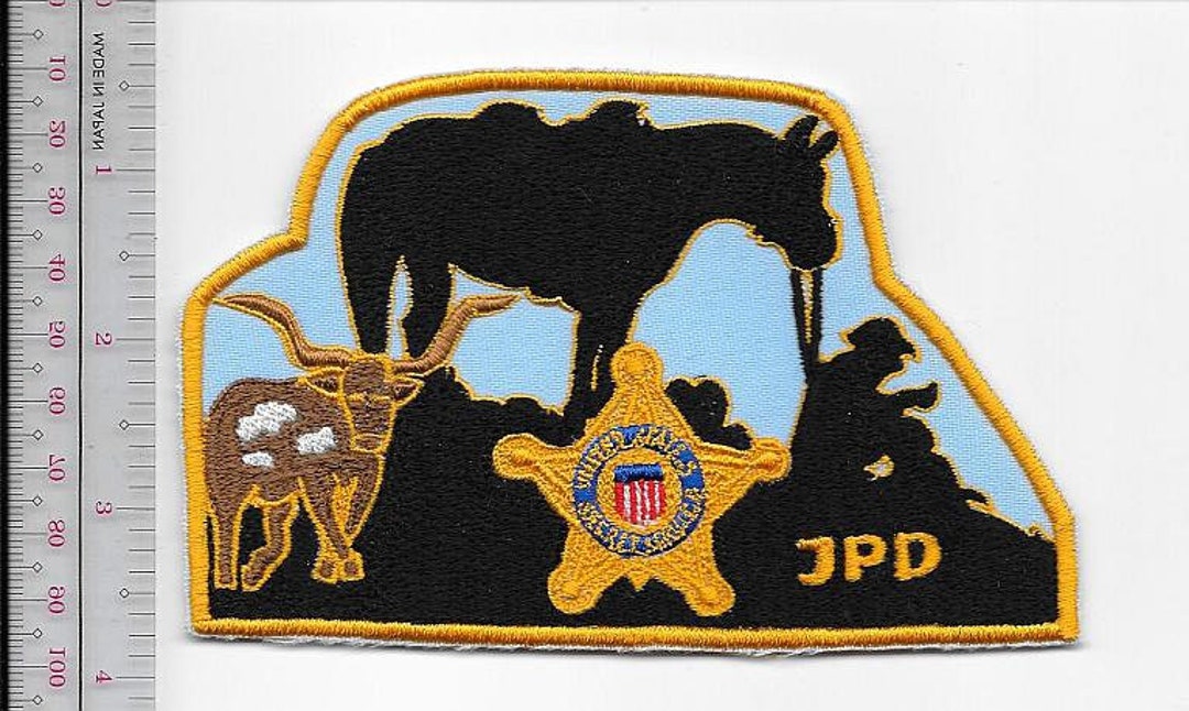 US Secret Service USSS Washington President Johnson Protective Division ...