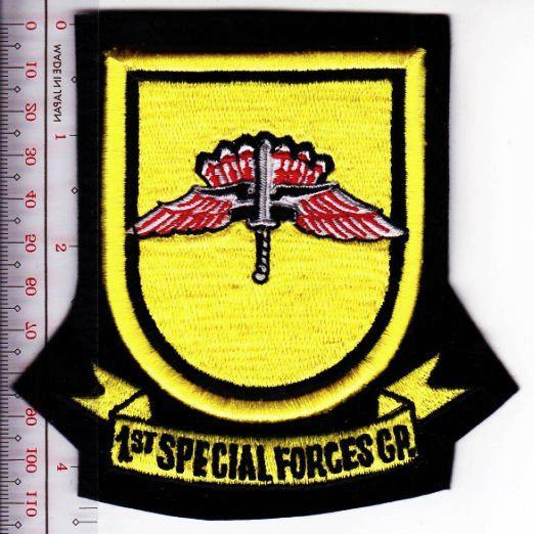 Airborne US Army 1st Special Forces Group Flash Free Fall Badge - Etsy