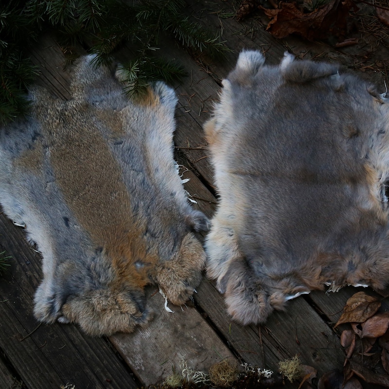 Rabbit Fur - Etsy