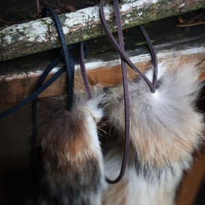 Extra Large Genuine Coyote Tail, Cruelty Free for Garb and Ritual - Etsy