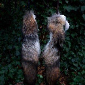Extra Large Genuine Coyote Tail, Cruelty Free for Garb and Ritual - Etsy