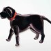 DIY Articulated Dogs Paper Puppets: Printable Bark Kingdom Set (PDF ...
