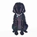 DIY Articulated Dogs Paper Puppets: Printable Bark Kingdom Set (PDF ...