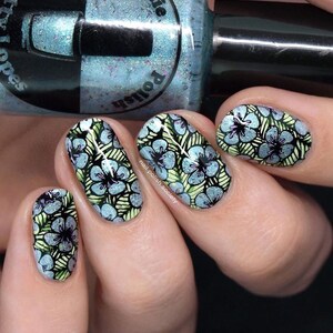 Stamping Starter Kit B037 Growing Beauty, the Other Side Polish ...