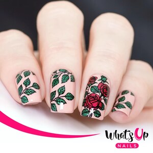 Stamping Starter Kit B037 Growing Beauty, the Other Side Polish ...
