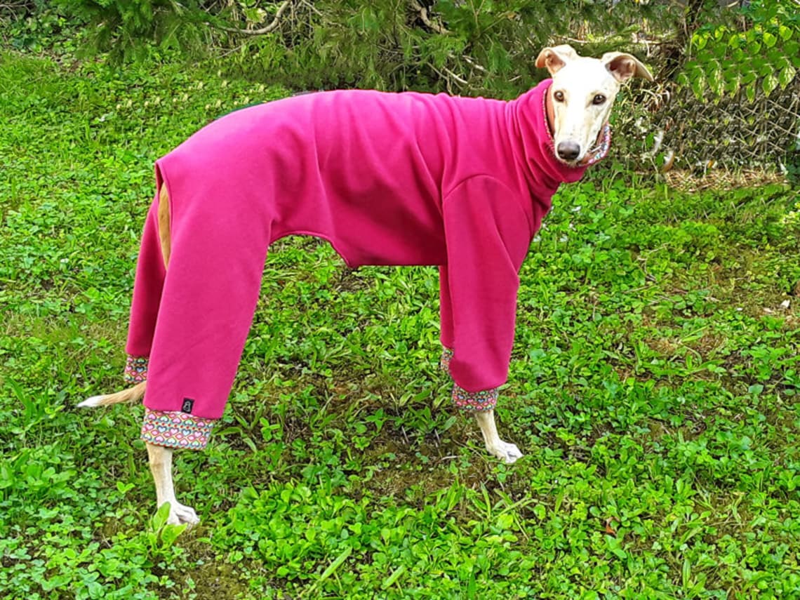 DOWNLOAD SEWING PATTERN / Greyhound Pajamas Sizes Xlarge and | Etsy ...