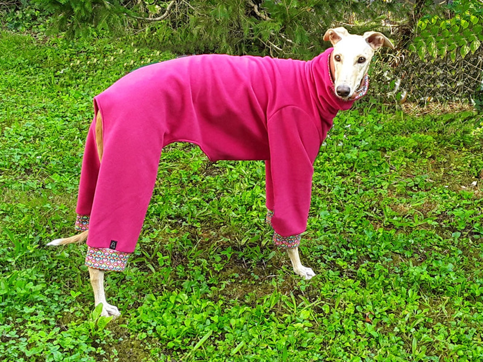 DOWNLOAD SEWING PATTERN / Greyhound Pajamas Sizes Xlarge and | Etsy ...