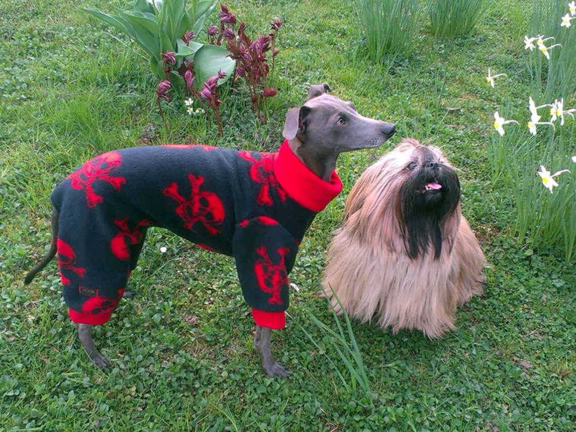 DOWNLOAD SEWING PATTERN / Italian Greyhound Pajamas - Single Size ...