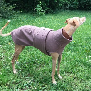 DOWNLOAD SEWING PATTERN / Greyhound Coat - Single Size Medium / Paper ...