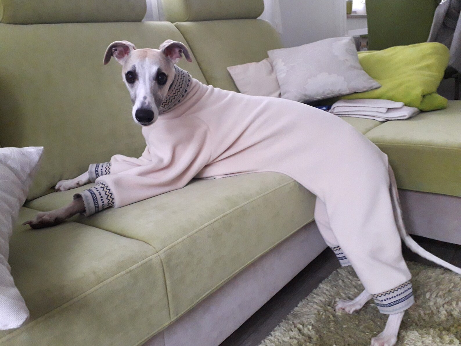 DOWNLOAD SEWING PATTERN / Whippet Pajamas Sizes Xlarge and - Etsy