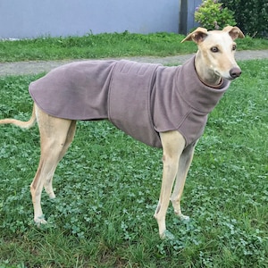DOWNLOAD SEWING PATTERN / Greyhound Coat - Single Size Medium / Paper ...