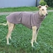 DOWNLOAD SEWING PATTERN / Greyhound Coat - Single Size Medium / Paper ...