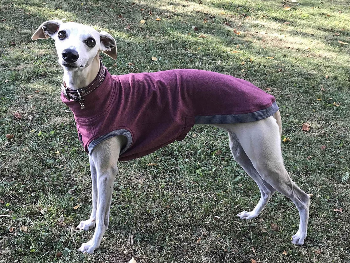 DOWNLOAD SEWING PATTERN / Whippet Shirt - Sizes Xlarge and Xxlarge ...