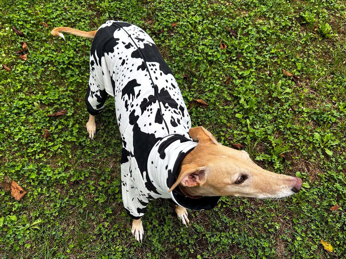 DOWNLOAD SEWING PATTERN / Greyhound Pajamas With a Zipper – Sizes ...