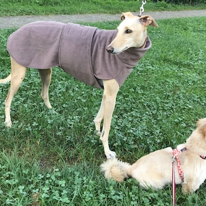 DOWNLOAD SEWING PATTERN / Greyhound Coat - Single Size Medium / Paper ...