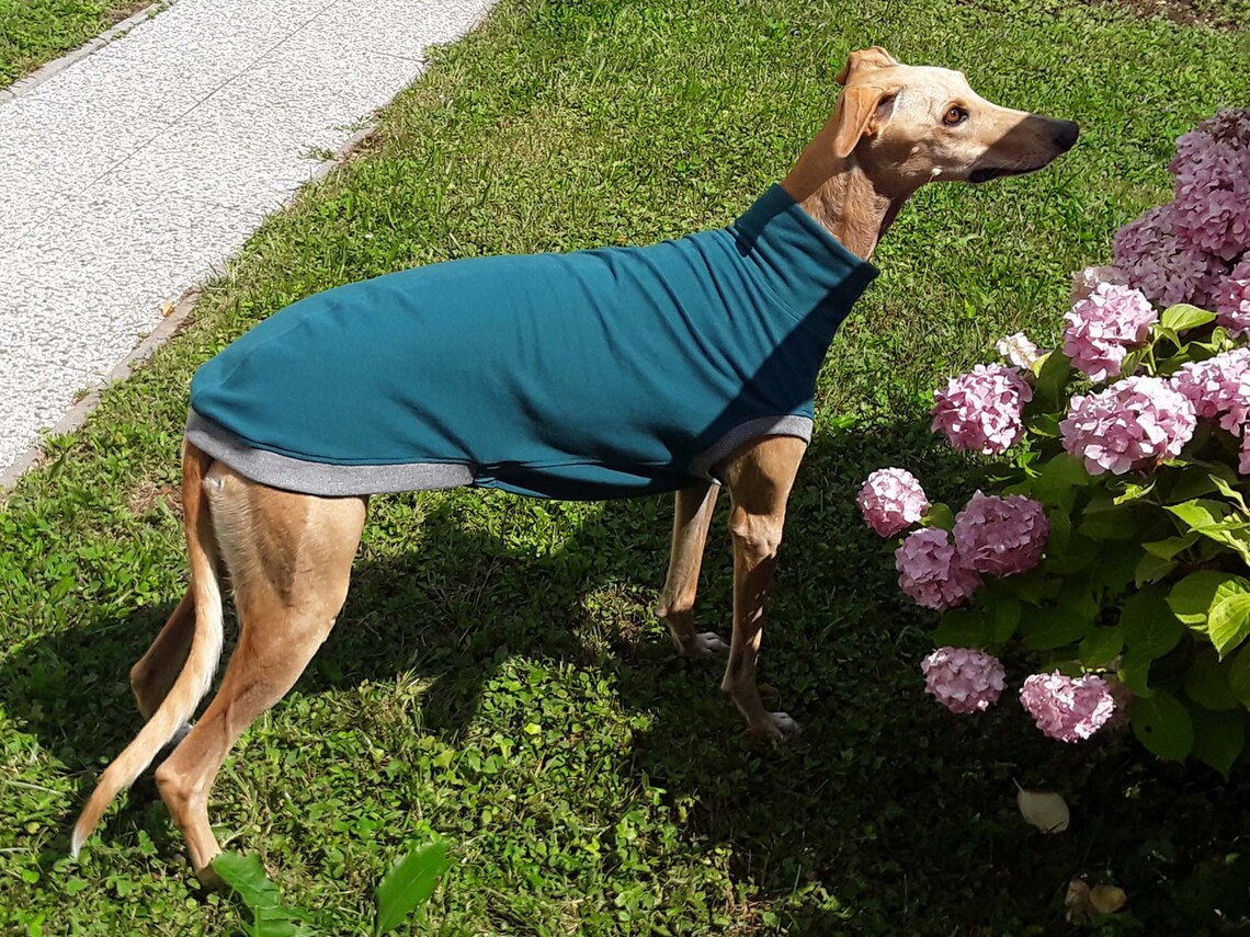 DOWNLOAD SEWING PATTERN / Greyhound Shirt - Single Size Large / Paper ...