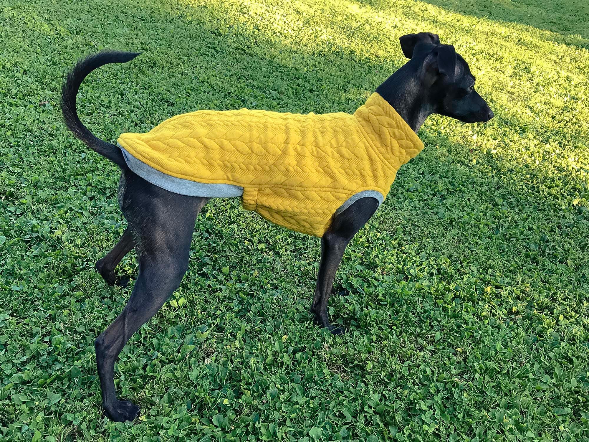 DOWNLOAD SEWING PATTERN / Italian Greyhound Shirt - Sizes Large and ...
