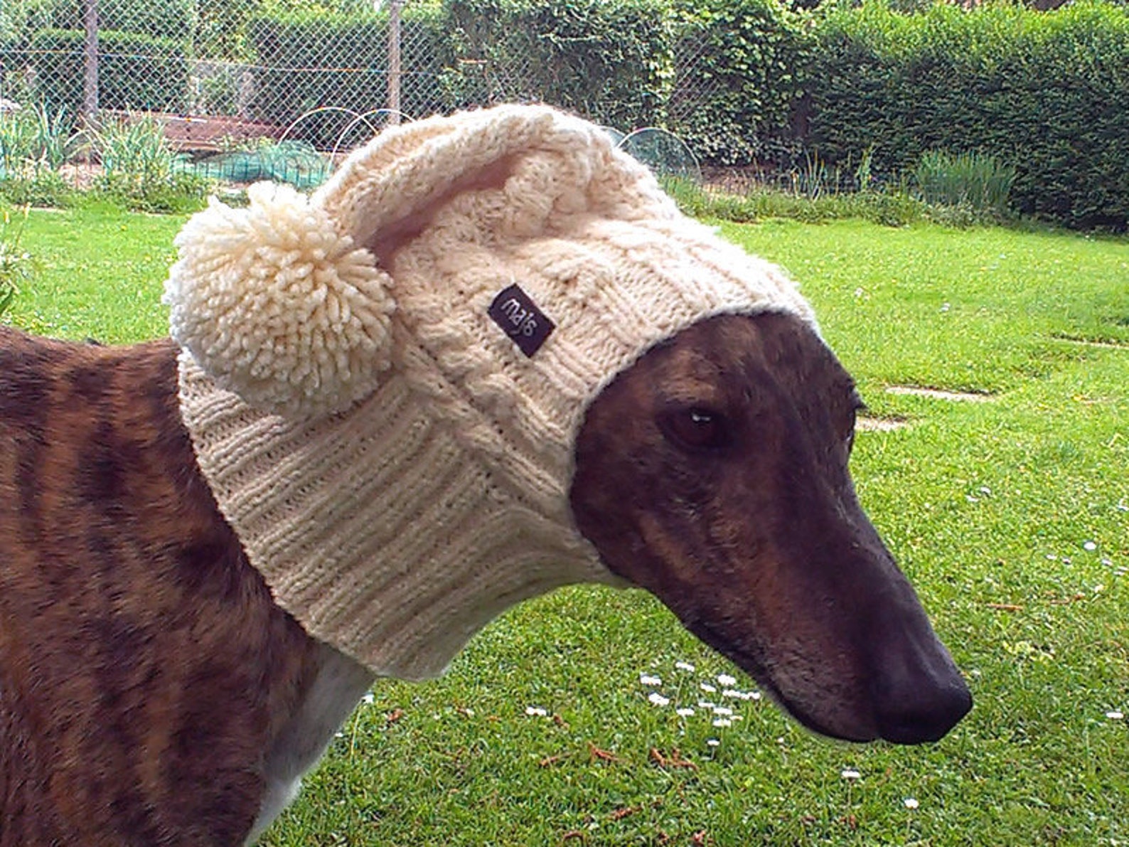 DOWNLOAD KNITTING PATTERN / Cable Dog Hat / Sizes Medium - Large - Etsy