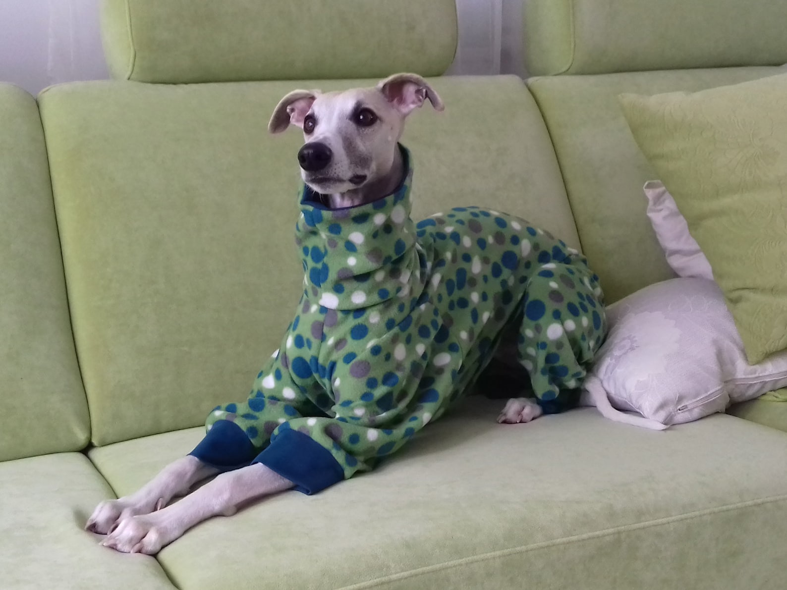 DOWNLOAD SEWING PATTERN / Whippet Pajamas Sizes Small and | Etsy