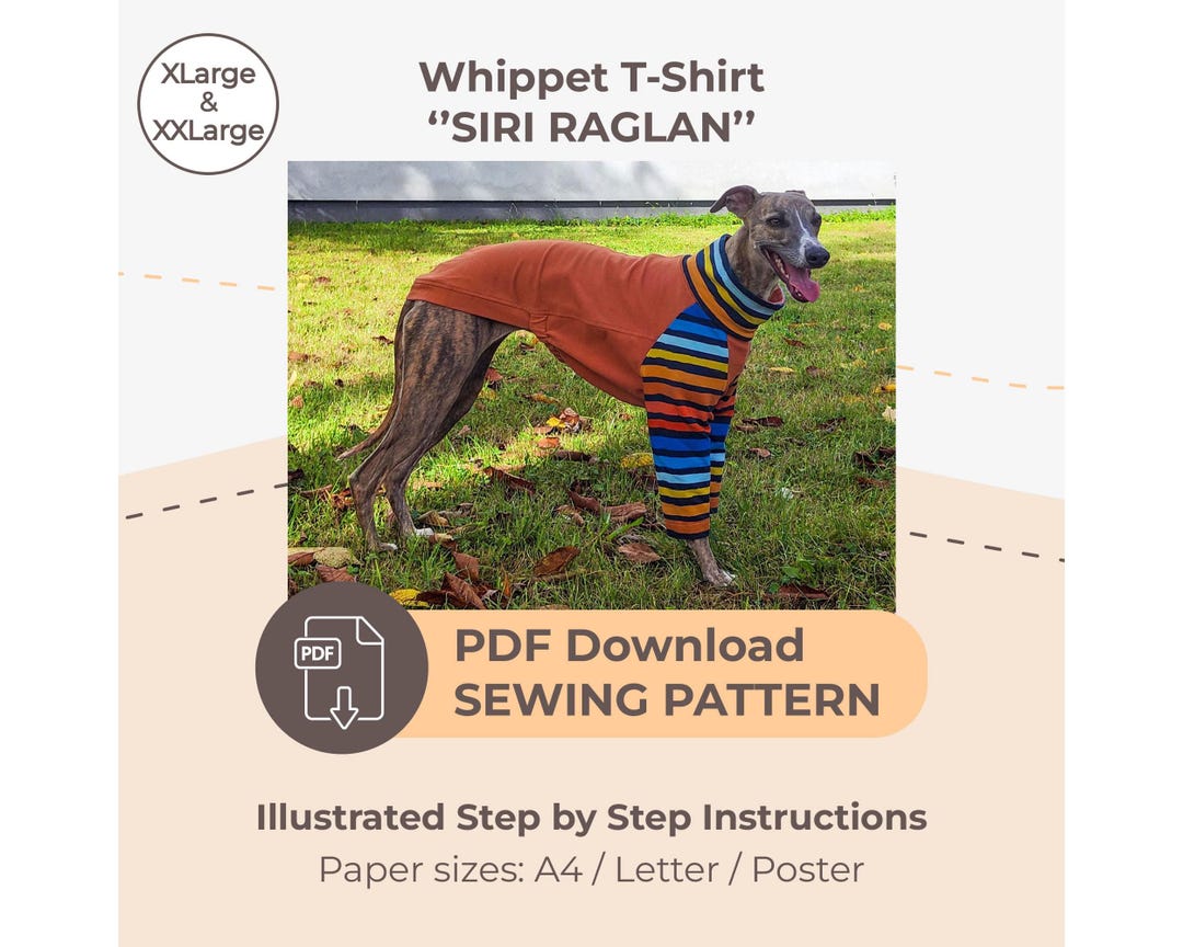 DOWNLOAD SEWING PATTERN / Whippet T-shirt - Sizes Xlarge and Xxlarge ...