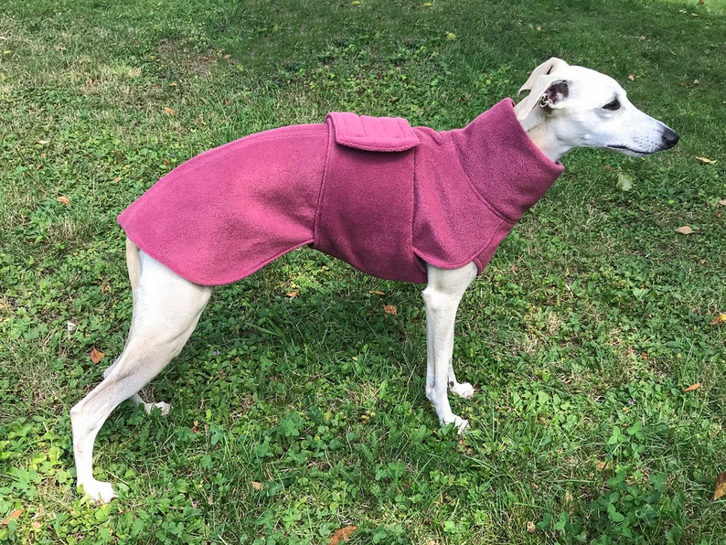 DOWNLOAD SEWING PATTERN / Whippet Coat - Single Size Large / Paper ...