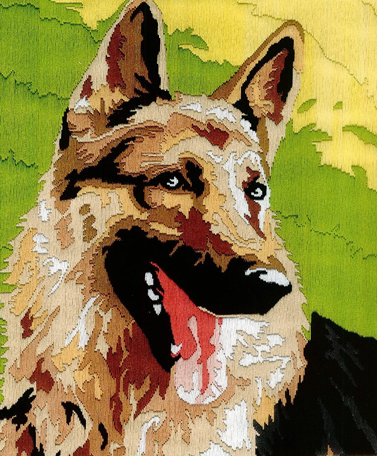 Anchor Stitch Kit looner Long Stitch Hand - Etsy Australia