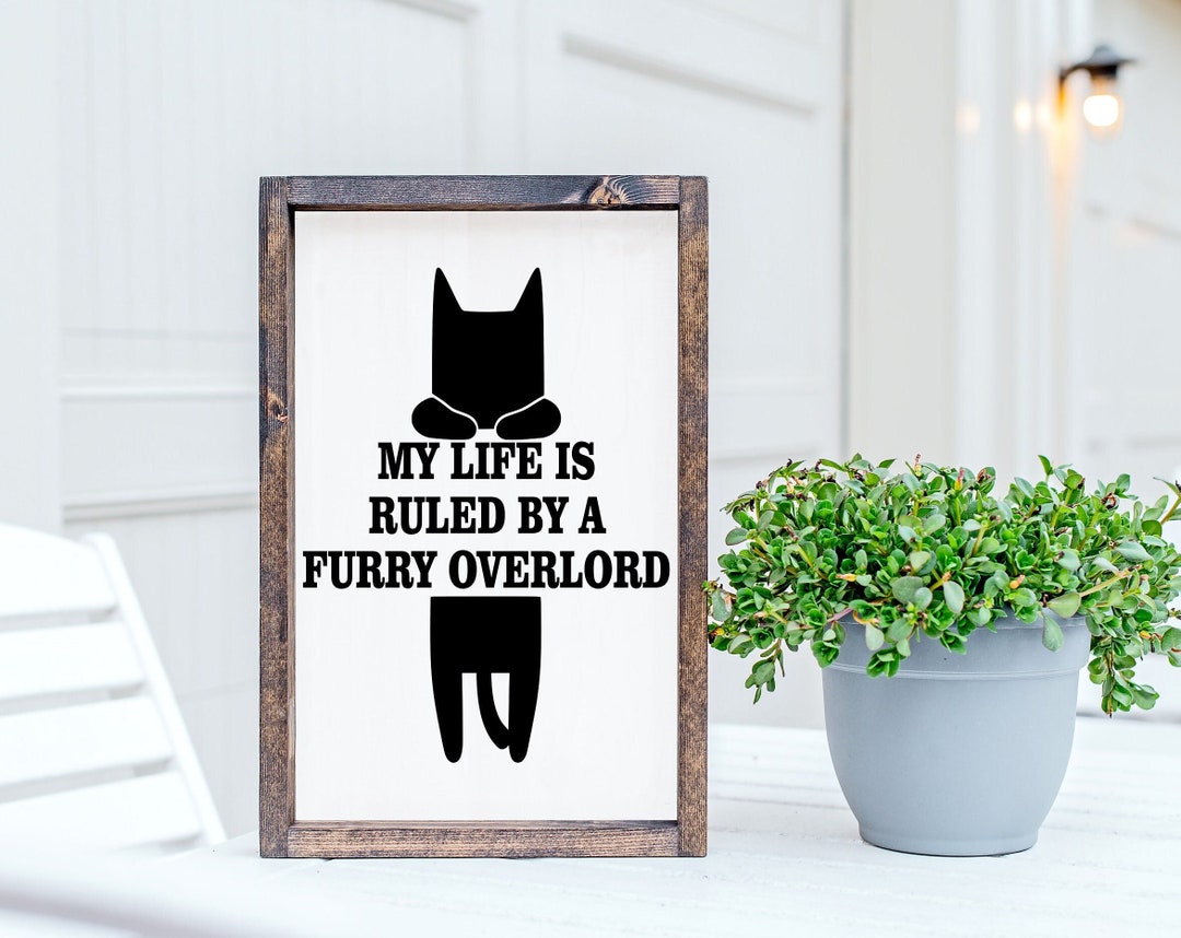 Furry Overlord Cat Sign: Funny Cat Lover Gift, Framed Wood Decor - Etsy